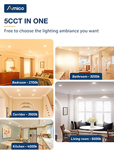 User Manuals – Amicolight